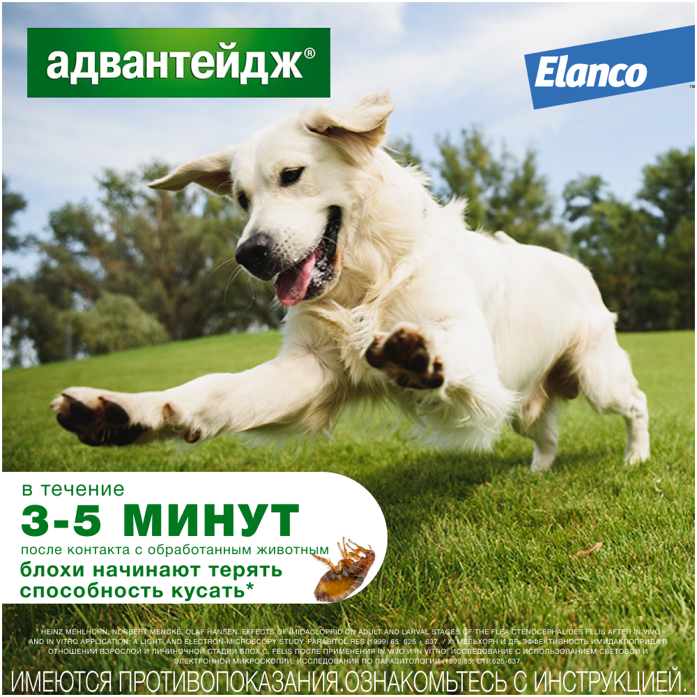 Адвантейдж (Advantage) Капли для собак от блох до 4 кг пипетки раствор ...